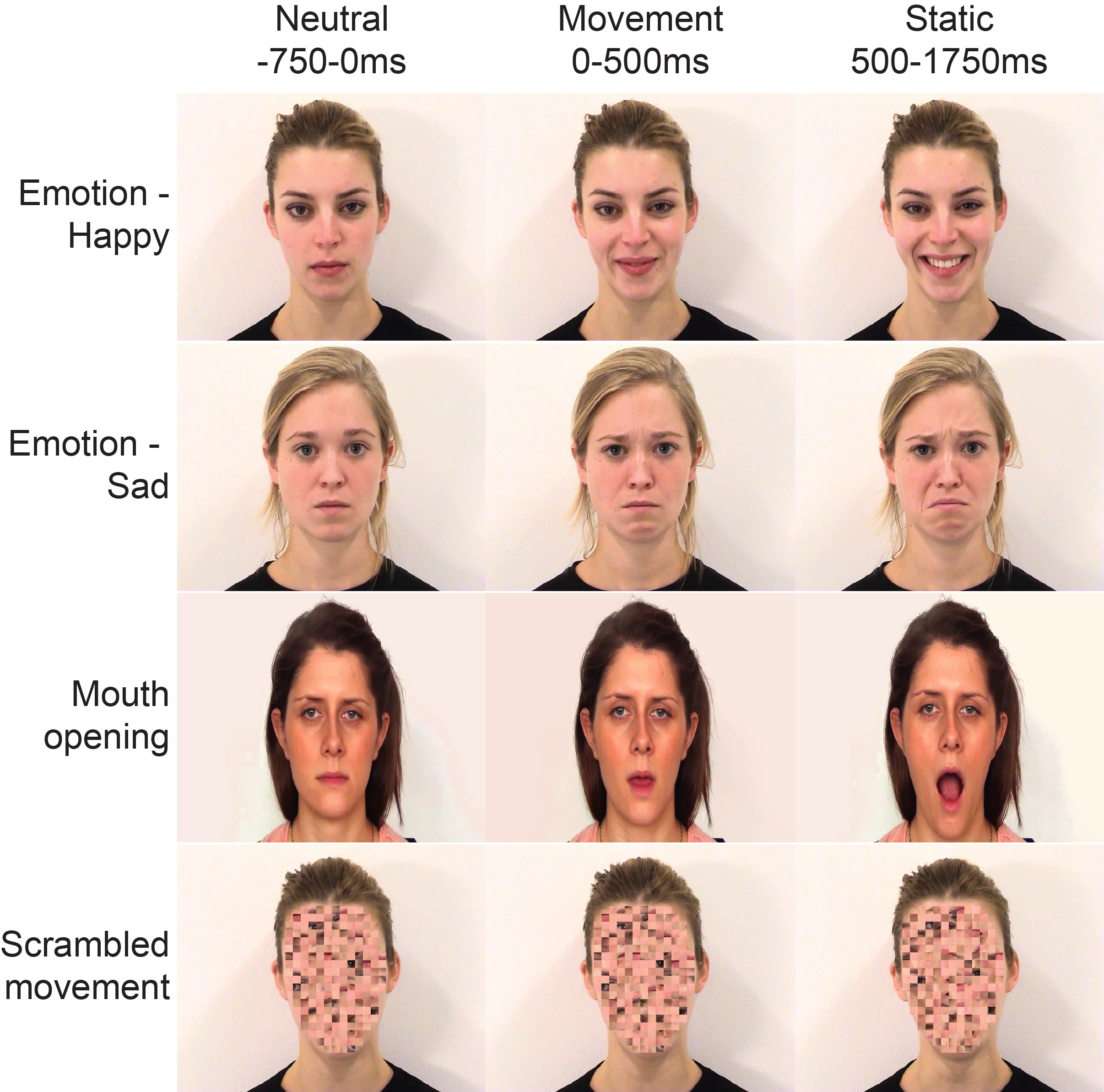 Facial Expressions Chart